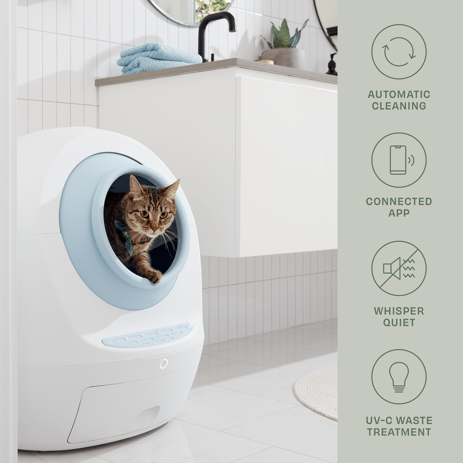 Leo’s Loo Too | Casa Leo