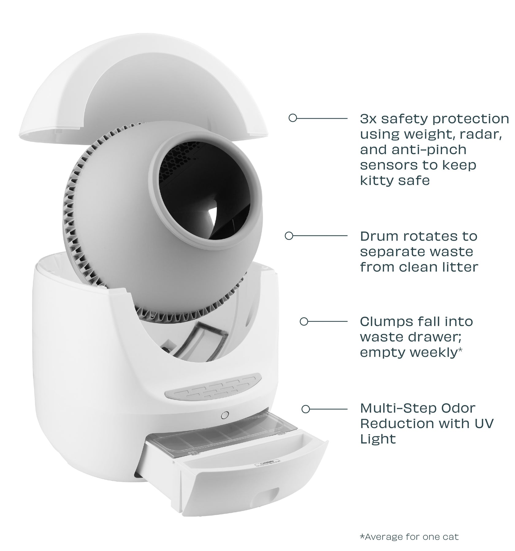 Leo’s Loo Too | Casa Leo